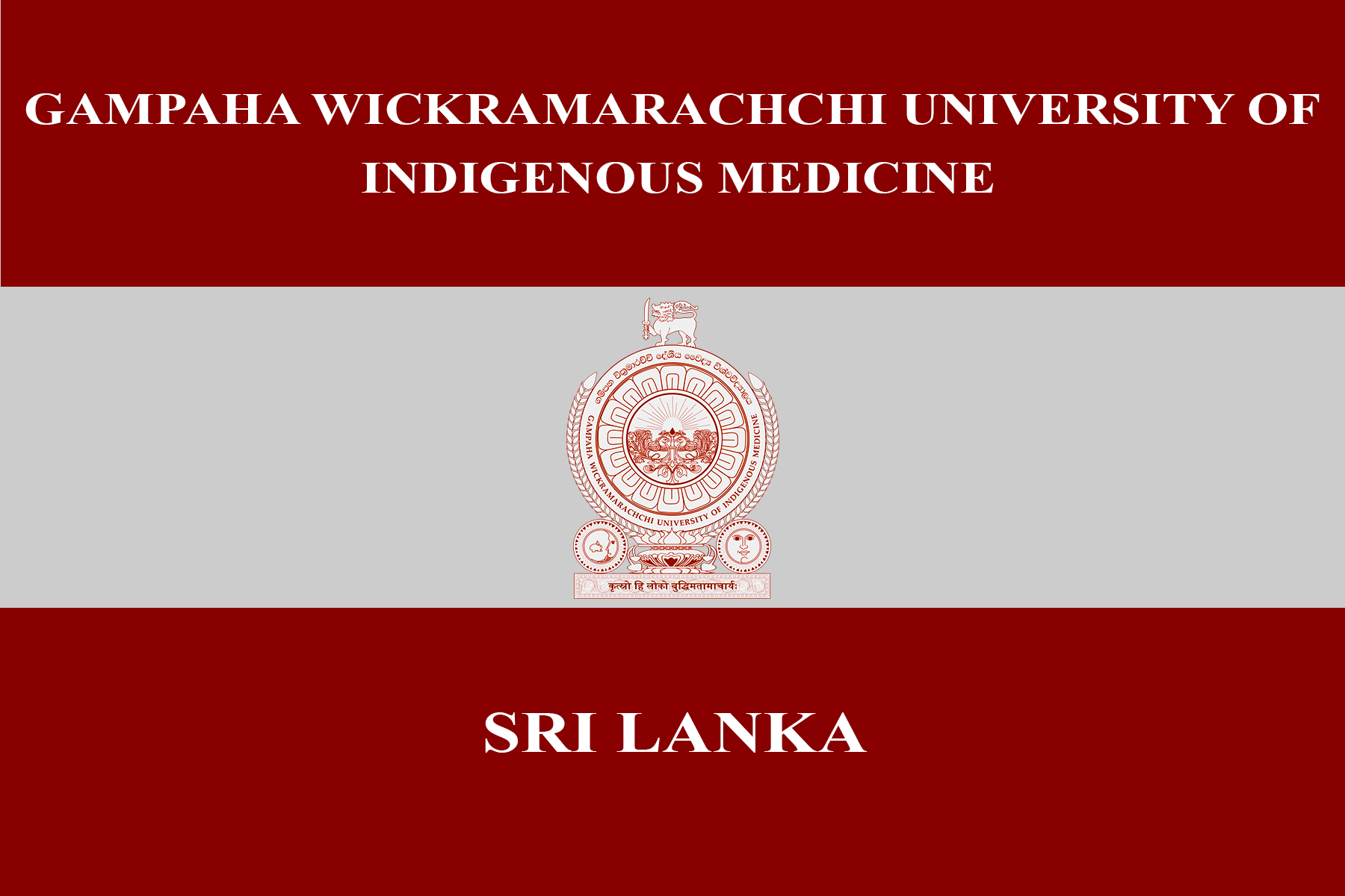 GWUIM - Emblem and Flag