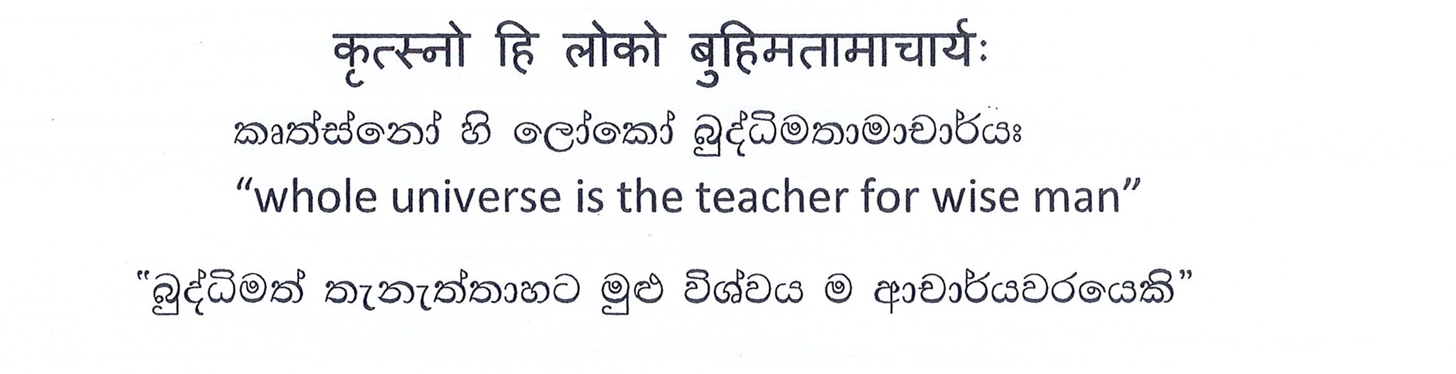 GWUIM - Emblem and Flag